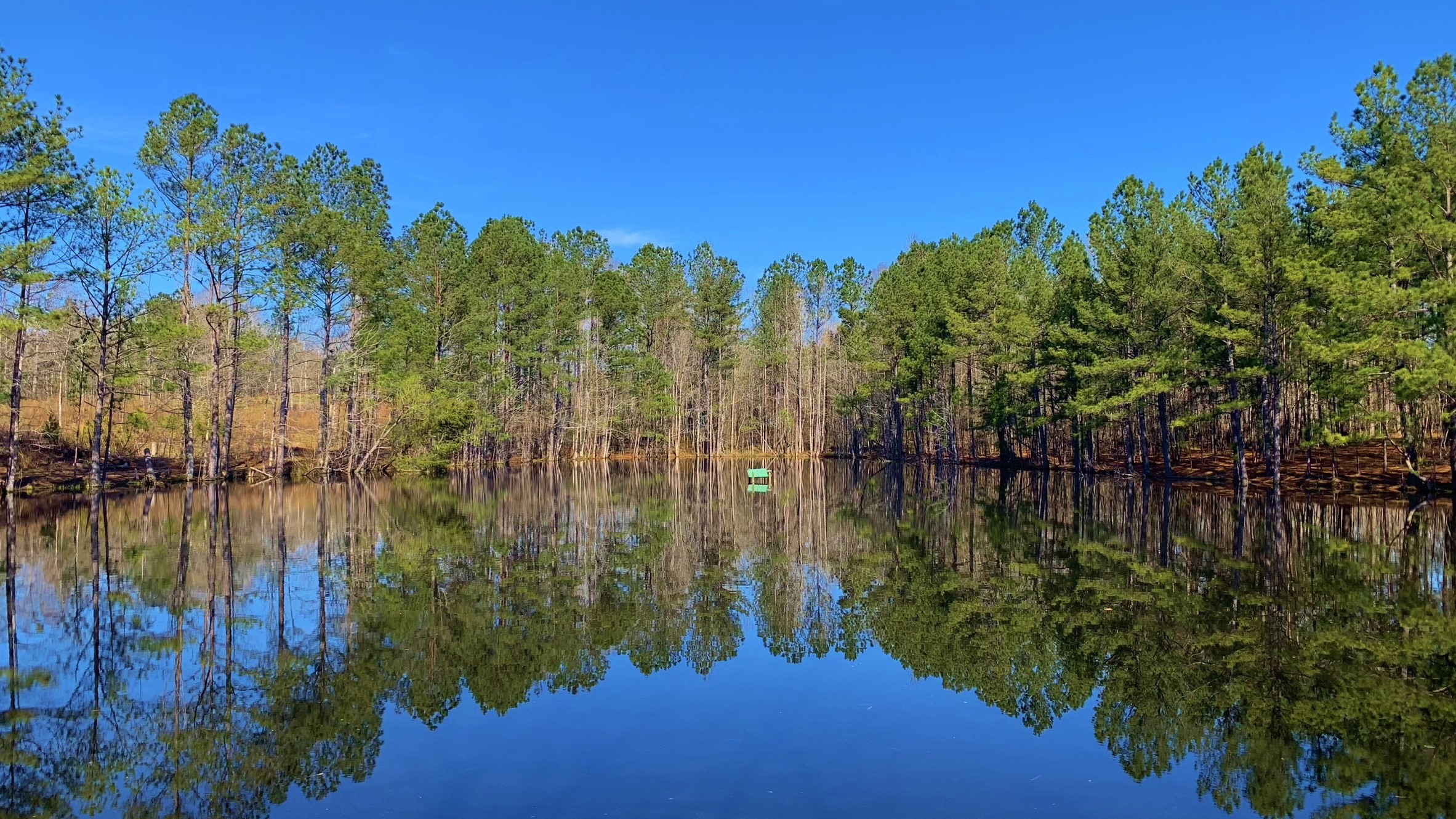 Pond & Cabin | LandMart