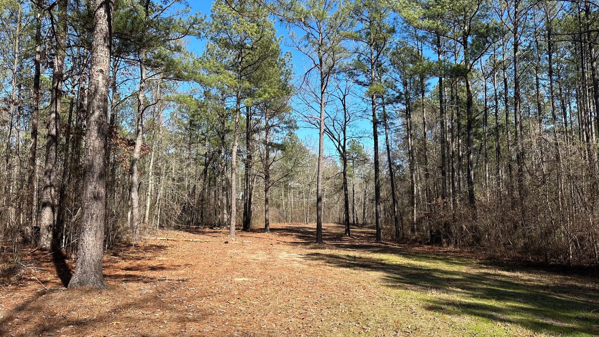 South Hancock Timber Tract | LandMart